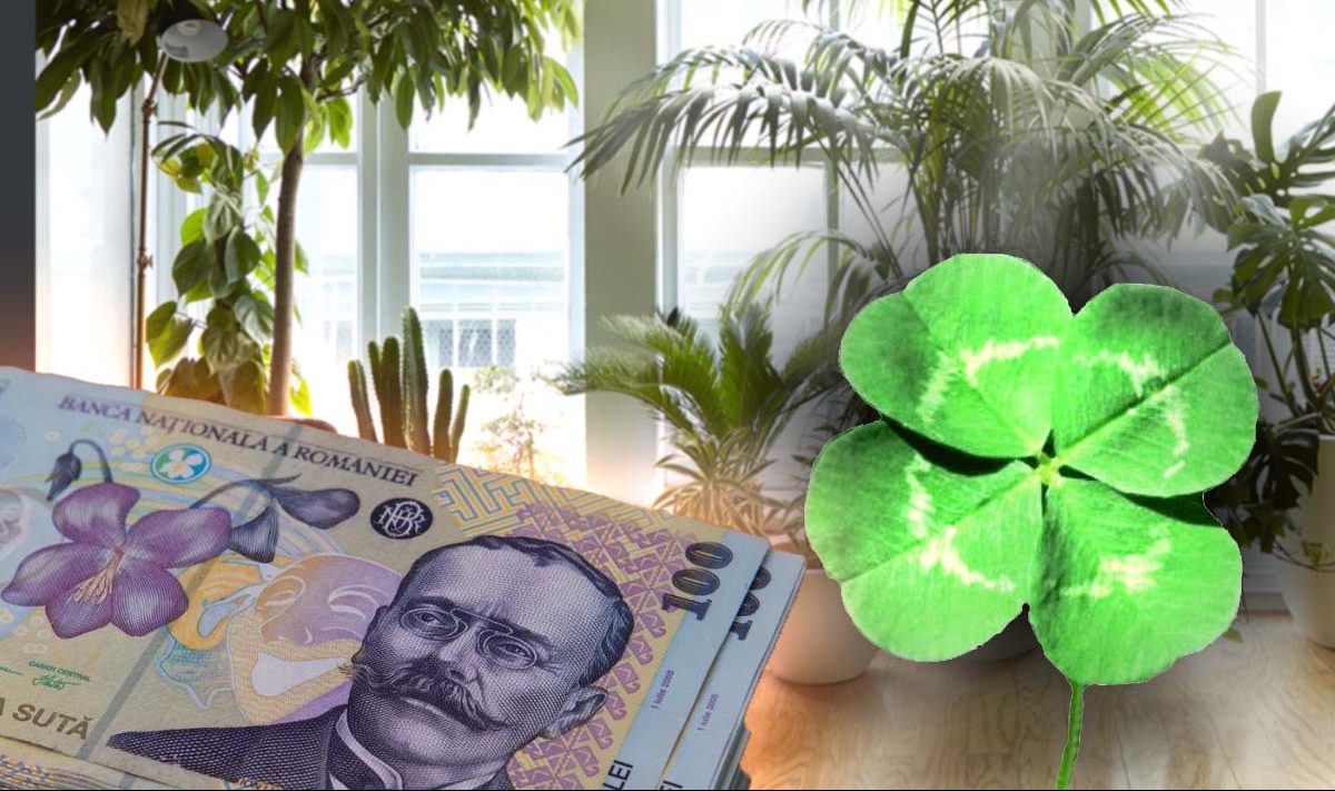Planta pe care să o ai în casă de Paşte pentru noroc la bani. Aşa te ...