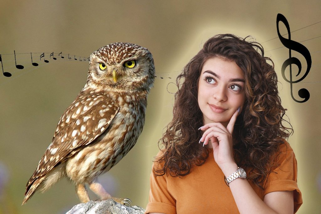 Ce înseamnă când auzi cucuveaua cântând? E semn rău? Ce prevestește, de ...